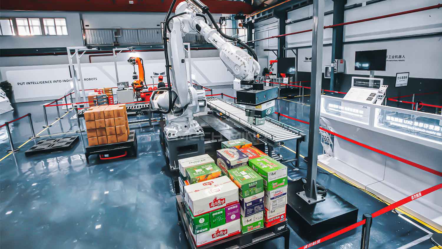 Depalletizing and Palletizing Solution | Mech-Mind Robotics