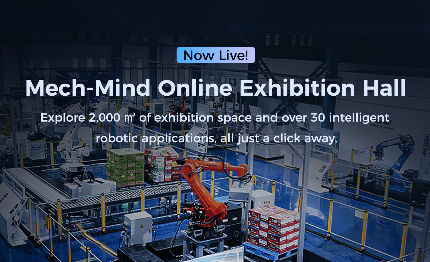 3D Vision & AI for Robots and More | Mech-Mind Robotics